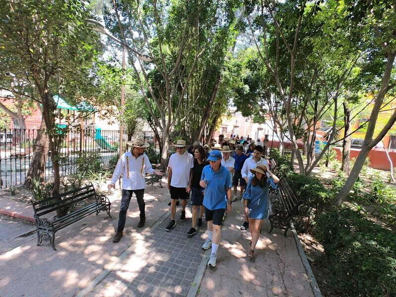 From Mexico City: Colonial San Miguel de Allende Day Tour - A Deep Dive into the San Miguel de Allende Day Tour