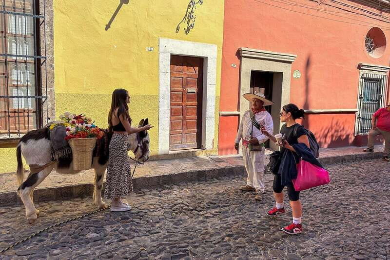 From Mexico City: San Miguel de Allende Day Trip - An Introduction to the Experience