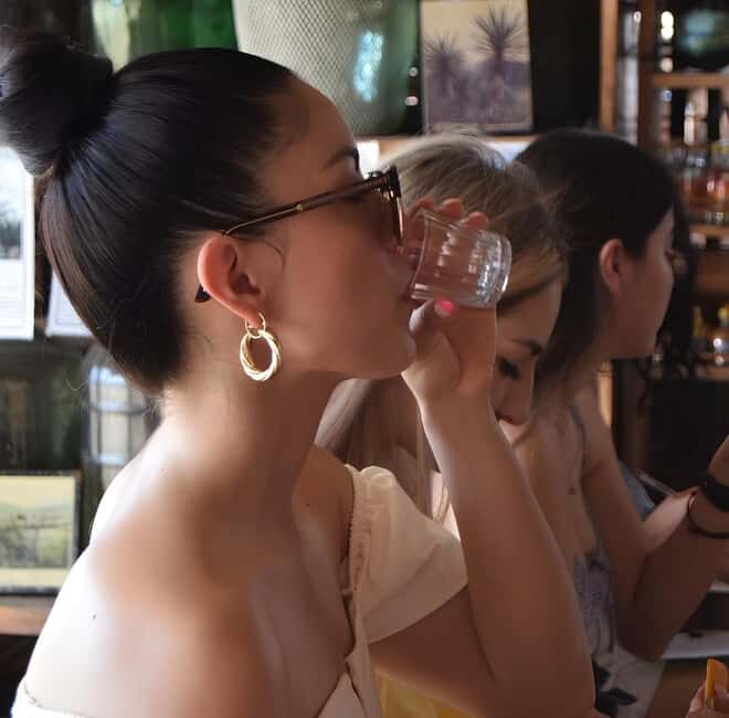 From Mexico City, VIP Tour to Teotihuacan: Pyramids, Beer & Mezcal - Who Should Consider This Tour?