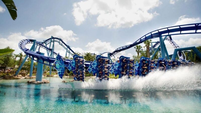 From Miami: Bus transfer to Orlando Theme Parks - Pricing and Value