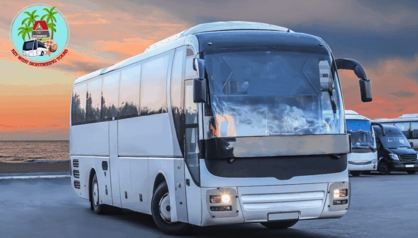 From Miami: Day Trip to Key West with optional Hotel pick up - Is This Tour Worth It?