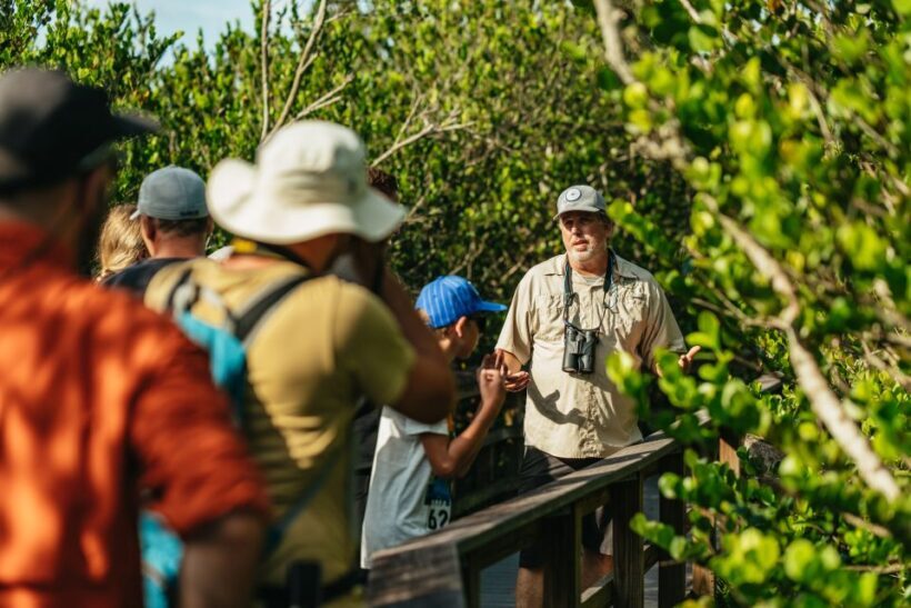 From Miami: Everglades Airboat Ride and Nature Walk - Exploring the Everglades: What to Expect