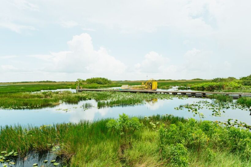 From Miami: Everglades Airboat Ride and Nature Walk - Authenticity and Respect for the Land