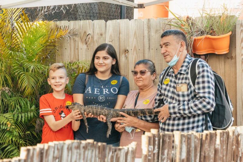 From Miami: Everglades Airboat, Wildlife Show & Bus Transfer - FAQs: Practical Questions Answered