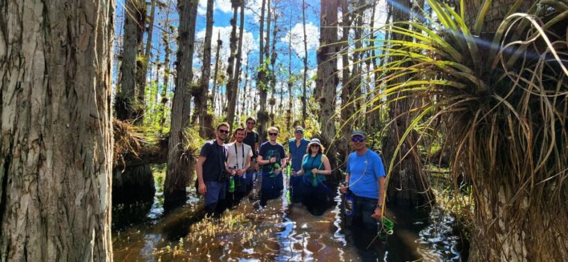 From Miami: Everglades Tour w/ Wet Walk, Boat Trips, & Lunch - An In-Depth Look at the Everglades Tour Experience