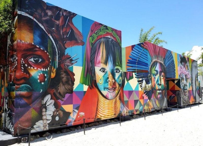 From Miami: Everglades Wildlife Show, Airboat & Bus Transfer - What to Expect on the Tour