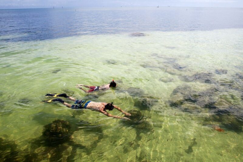 From Miami: Key West Day Tour by Motor Coach Bus - Who Should Consider This Tour?