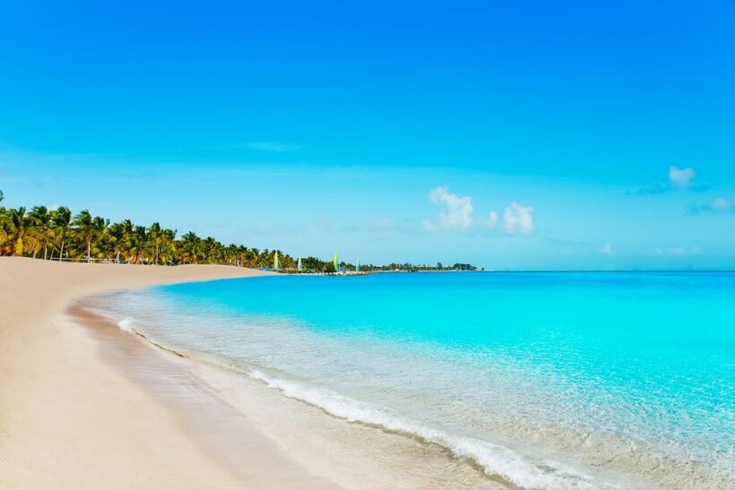 From Miami: Key West Day Trip - Who This Tour Is Best For