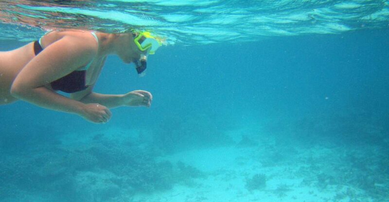 From Miami: Key West Day Trip - Practical Details and Tips