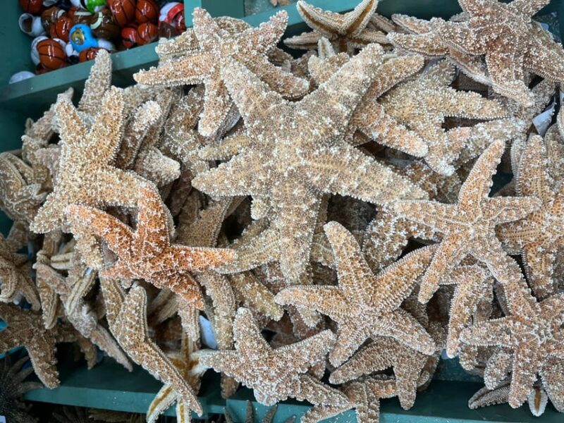 From Miami: Key West Day Trip with Narration - FAQs