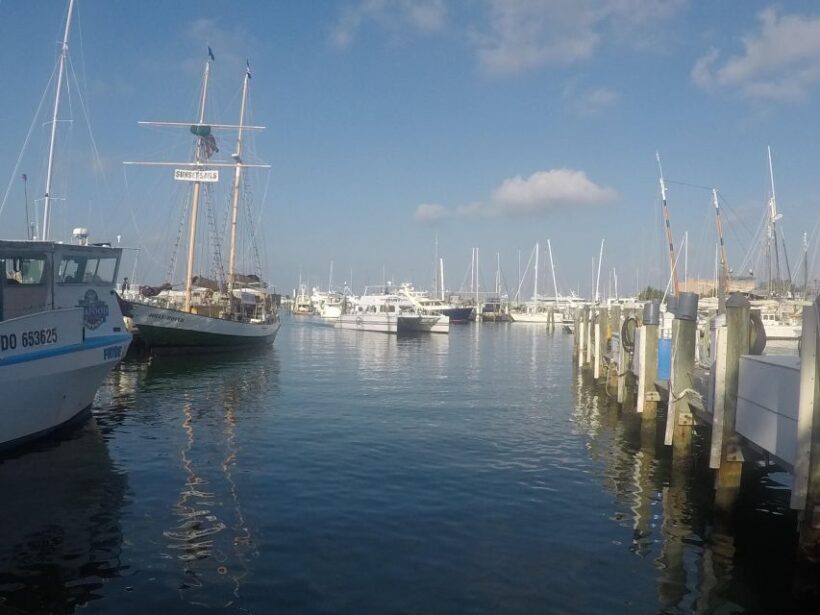 From Miami: Key West Day Trip with Pickup at Selected Hotels - Practical Tips for Travelers