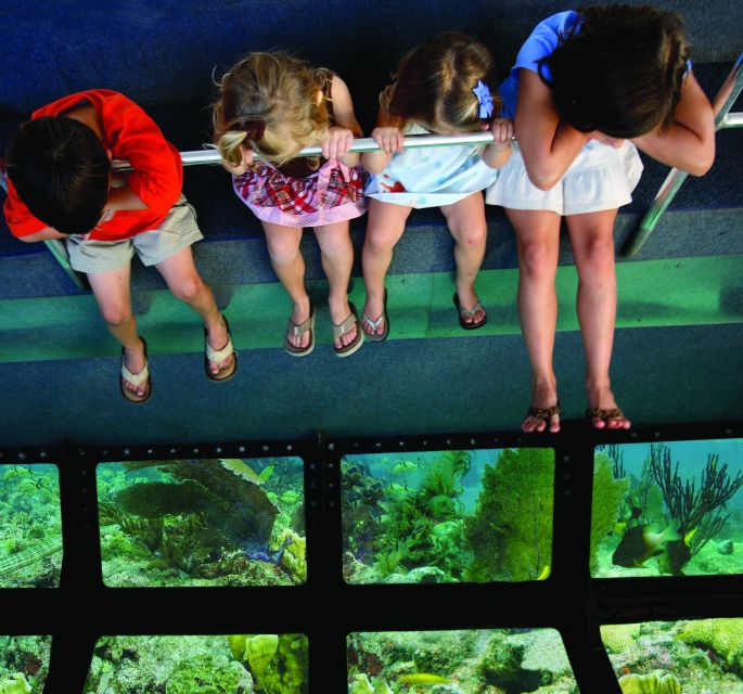 From Miami: Key West with Dolphin Watch or Snorkel Boat - The Itinerary: What to Expect