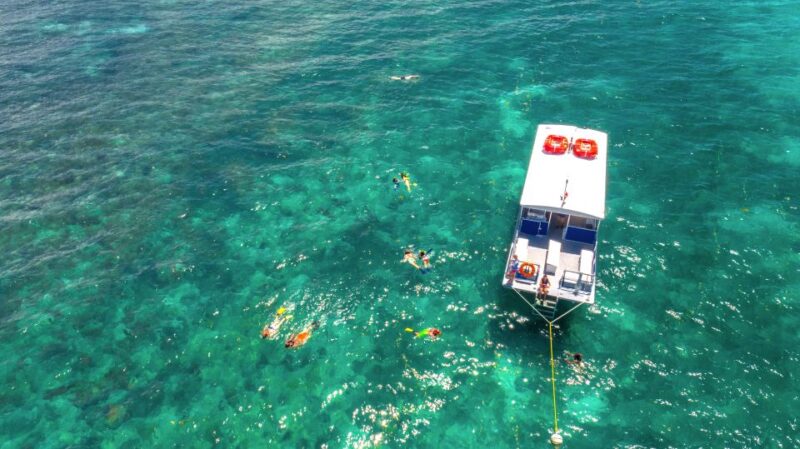 From Miami: Key West with Dolphin Watch or Snorkel Boat - Authentic Experiences from Travelers