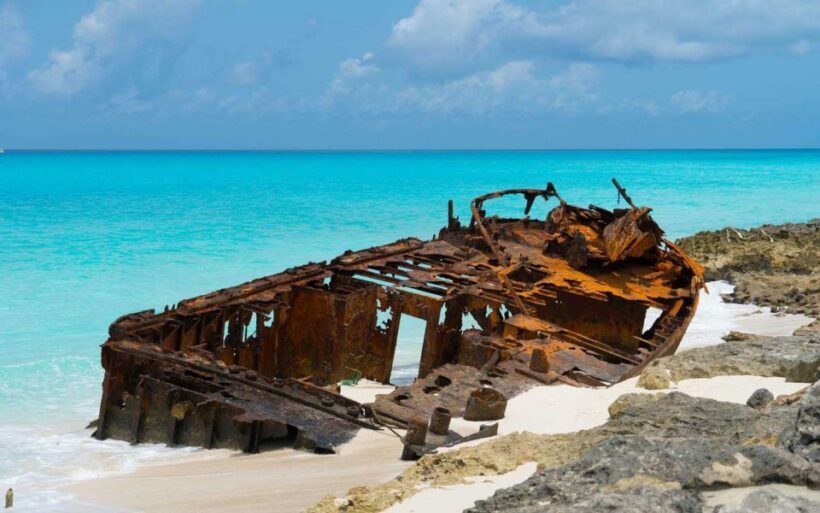 From Miami: Roundtrip Bimini Ferry with Hotel Transfers - Who Will Enjoy This Tour?