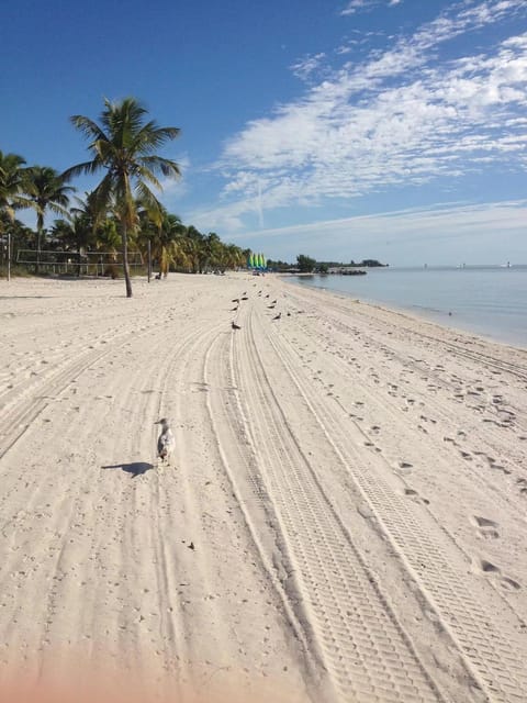 From Miami: Small Group Key West 1-Day Tour - What Travelers Love—and What to Watch For