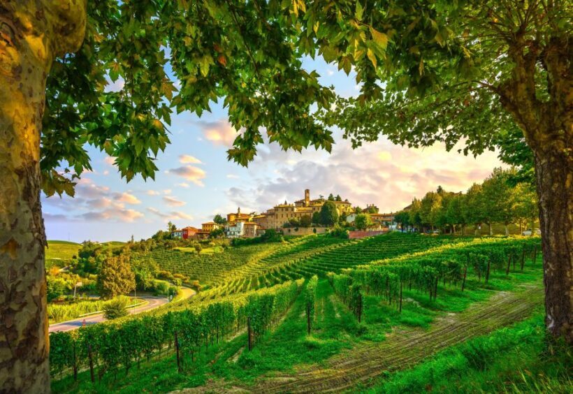 From Milan: Barolo Wine Tasting, Alba Tour and Castle Visit - Key Points