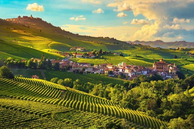 From Milan: Barolo Wine Tasting, Alba Tour and Castle Visit - Setting the Scene: What to Expect