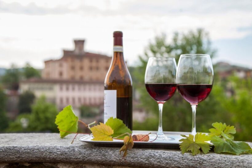 From Milan: Barolo Wine Tasting, Alba Tour and Castle Visit - The Logistics: How the Day Unfolds