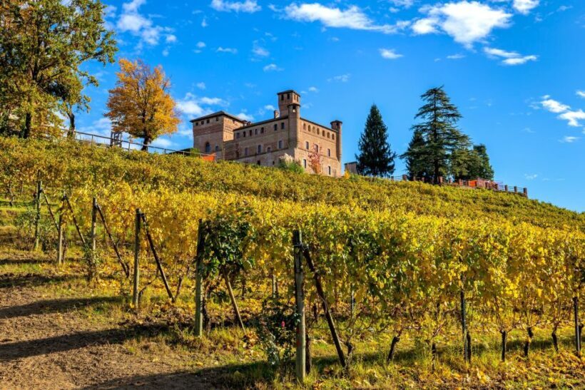 From Milan: Barolo Wine Tasting, Alba Tour and Castle Visit - What’s Included and What’s Not
