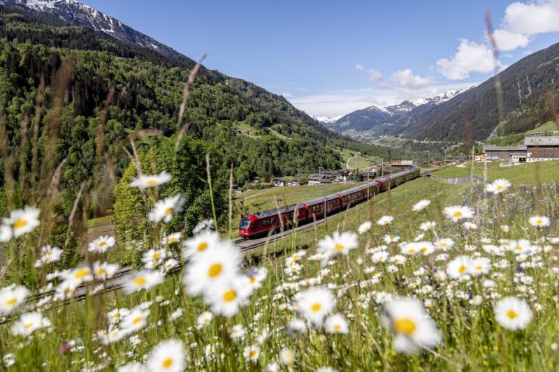 From Milan: Bernina Red Train to St Moritz Guided Tour - Inclusions