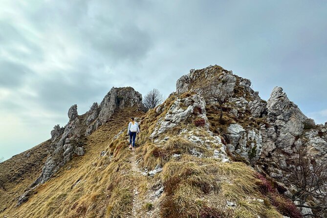 From Milan/Como/Varenna: Panoramic Hiking Tours Near Lake Como - Accessibility Considerations