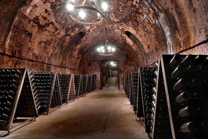 From Milan Full Day in Franciacorta 2 Wineries and Lunch - Visiting the First Winery: History, Technology, and Taste