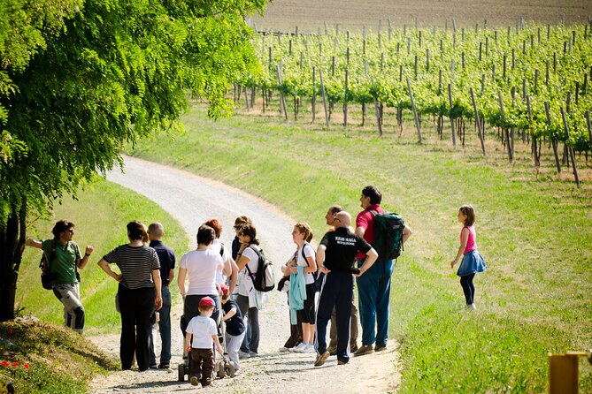 From Milan Full Day in Franciacorta 2 Wineries and Lunch - Practical Details and Value