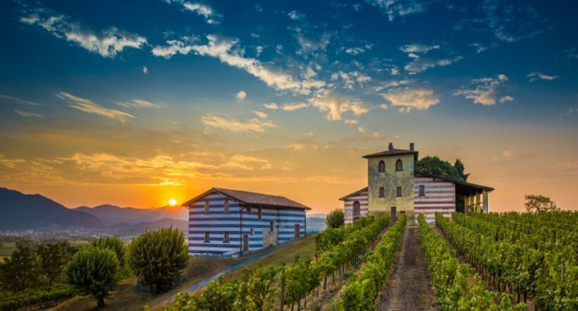 From Milan: Full Day in Franciacorta. 2 Wineries & Lunch - Lunch on Lake Iseo: A Perfect Regional Pause