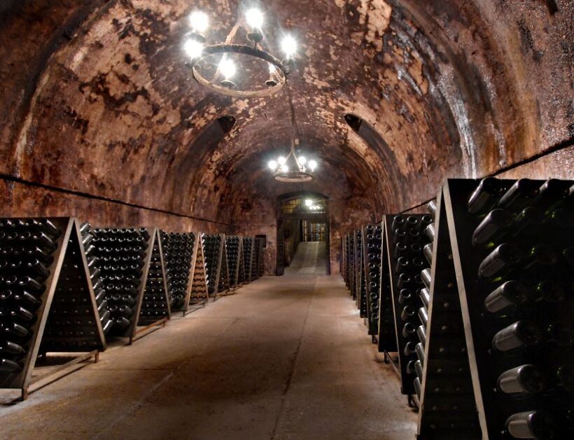 From Milan: Full Day in Franciacorta. 2 Wineries & Lunch - Logistics and Practicalities