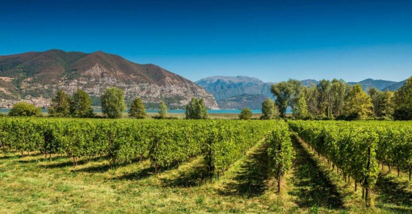 From Milan: Full Day in Franciacorta. 2 Wineries & Lunch - FAQ