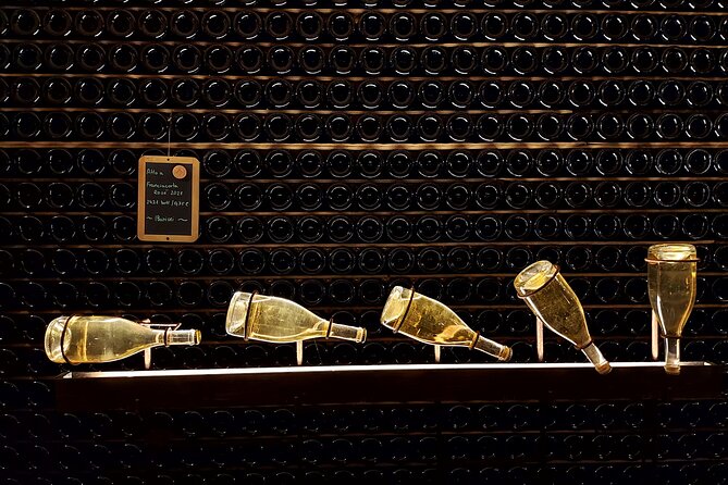 From Milan: Lake Iseo, Bergamo & Franciacorta Wine Tour - The Experience from the Reviews