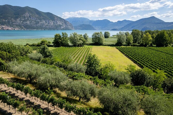 From Milan: Lake Iseo, Bergamo & Franciacorta Wine Tour - Who Should Consider This Tour?