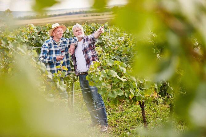 From Milan: Lake Iseo, Bergamo & Franciacorta Wine Tour - FAQs