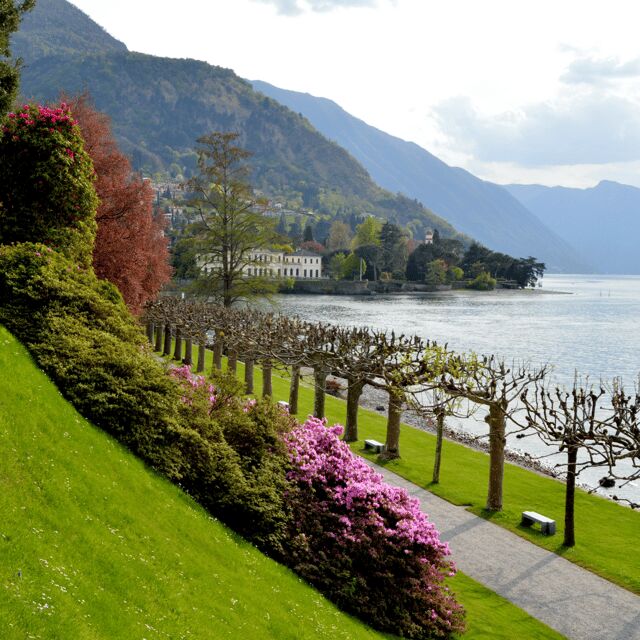 From Milan: Lakeside villas on Lake Como with ferries - Villas and Gardens: What You’ll Experience