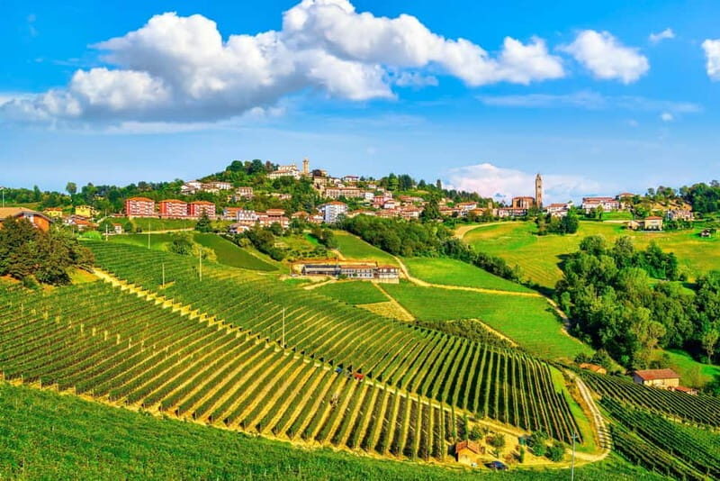 From Milan: Langhe Wine Region Day Trip with Barolo Tasting - Exploring the Heart of Piedmont Without Leaving Milan