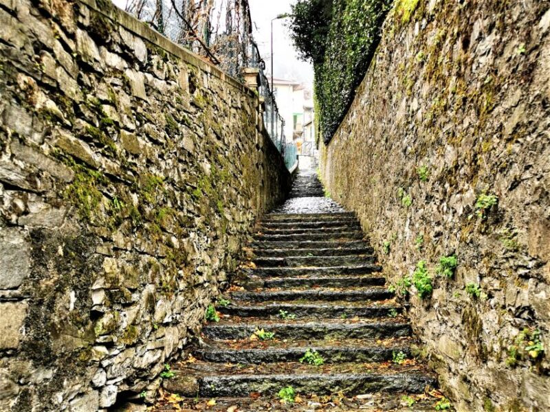 From Milan: Small Group Tour of Lake Como, Lugano & Pre Alps - Since You Asked