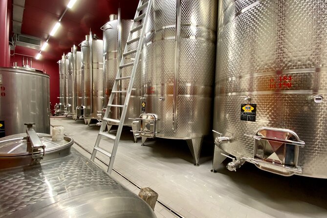 From Milan to Venice, through the Amarone region, Lunch & Verona - The Experience for Different Travelers