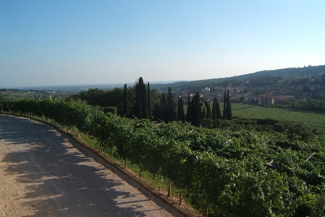 From Milan to Venice, through the Amarone region, Lunch & Verona - FAQ