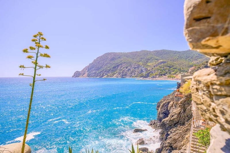 From Milan:Cinque Terre National Park with Limoncino Tasting - The Limoncino Tasting