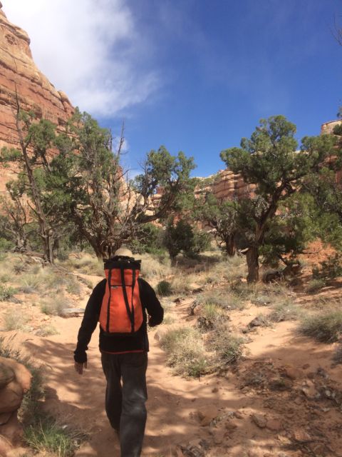 From Moab: 1-Day Horseshoe Canyon Exploration - Exploring Horseshoe Canyon from Moab: A Comprehensive Review