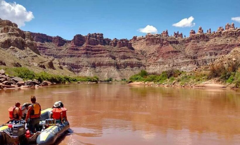 From Moab: Cataract Canyon Whitewater Rafting Experience - Price and Value Analysis