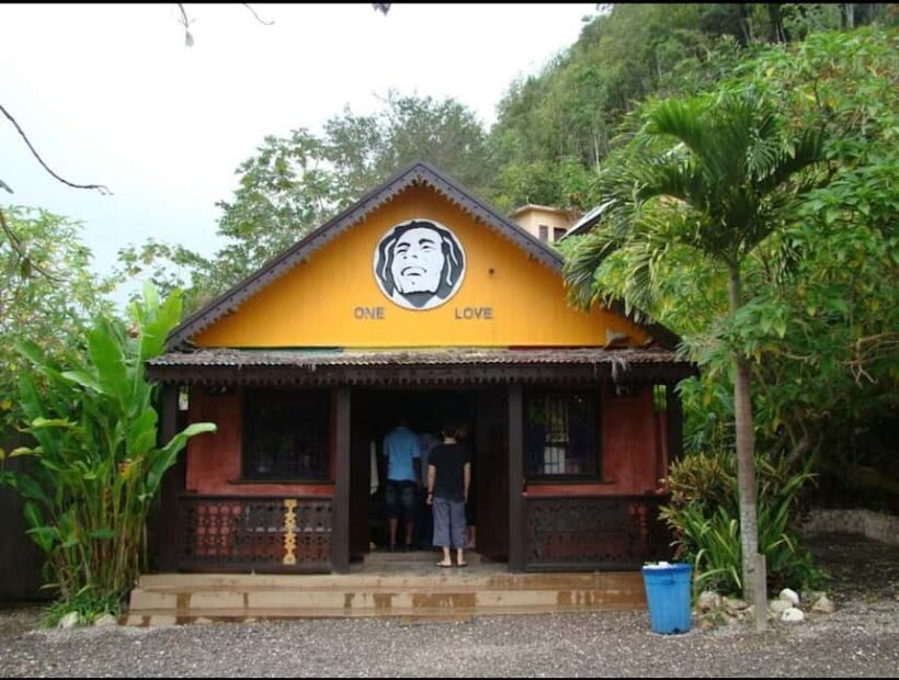 From Montego Bay: Bob Marley 9 mile & Dunns River falls tour - Exploring the Tour in Detail
