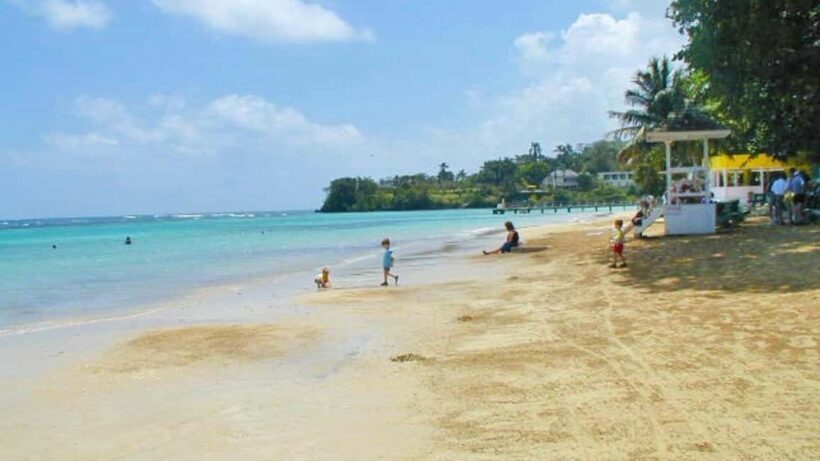 From Montego Bay: Dunns River Falls Experience - Key Points