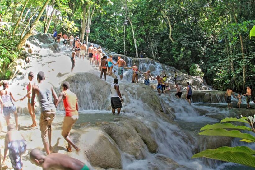 From Montego Bay: Dunns River Falls Experience - Exploring the Park and Surroundings