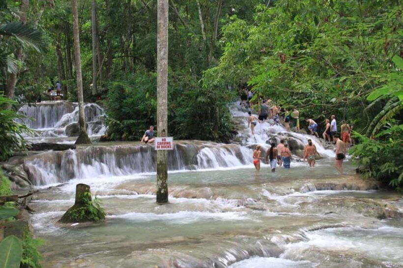 From Montego Bay: Dunns River Falls Experience - Authenticity and Value
