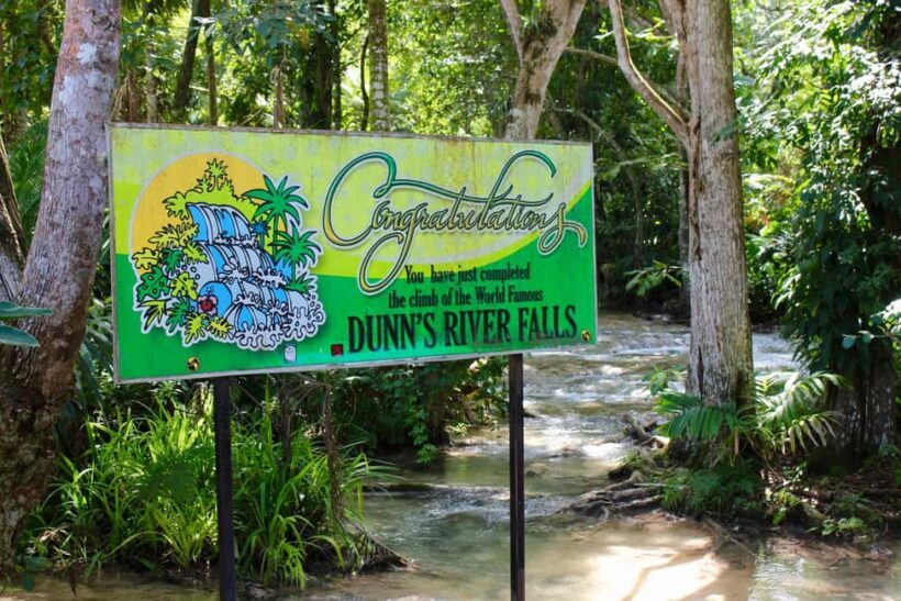 From Montego Bay: Dunns River Falls Experience - Who Should Book This Tour?