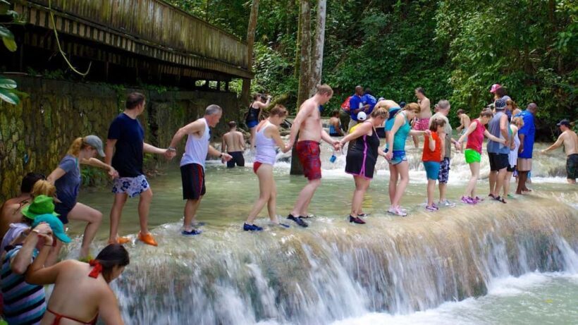 From Montego Bay: Dunns River Waterfall Hike - Key Points