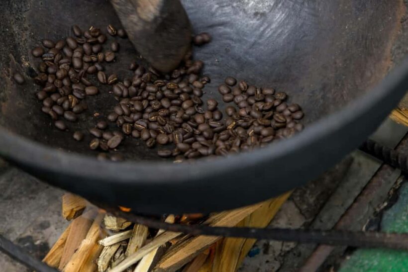 From Montego Bay/Falmouth: Coffee Farm Blue Mountain Hike - Key Points