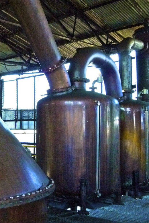 From Montego Bay: Hampden Estate Rum Tasting Tour with Lunch - The Sum Up