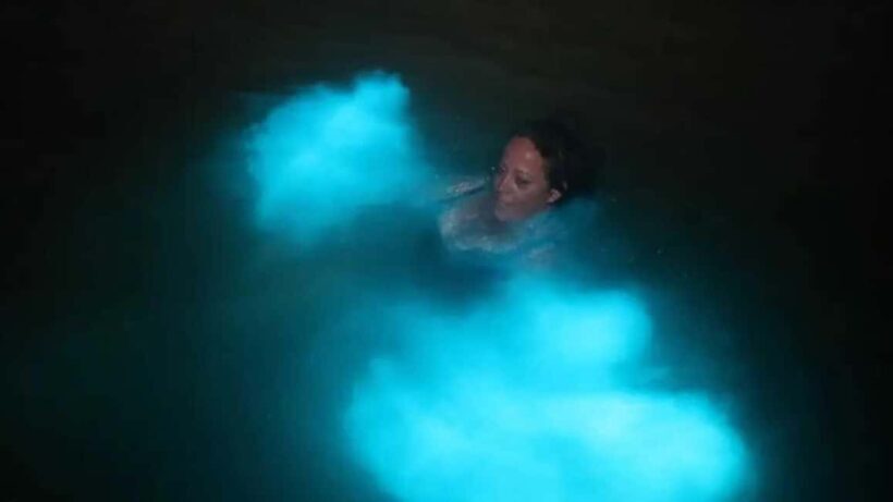 From Montego Bay: Luminous Lagoon Boat Tour with Transfer - Practical Tips for Your Visit